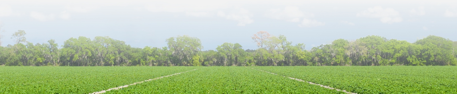 Sutton Milk – Florida Farm to You